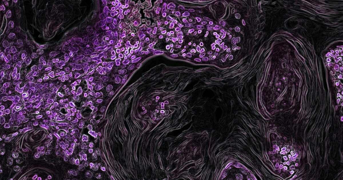 Latest developments - INQUA