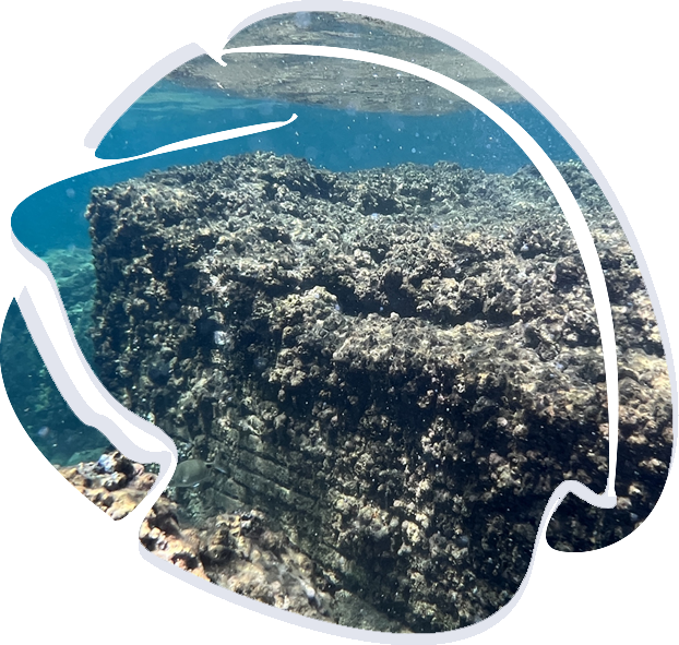 INQUA 2404 my: EvolutiOn of Seascapes (OnSea) - INQUA