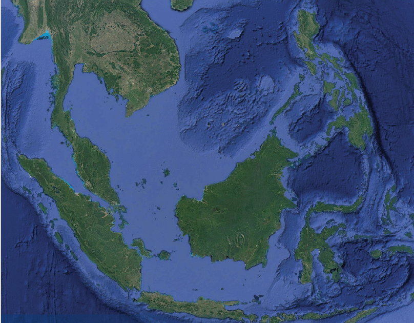 Online Lecture Homo erectus from the sea: new discoveries from the ...